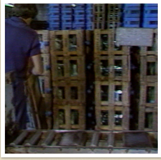 Water, Water Everywhere: North America’s First Bottled Water Company ...