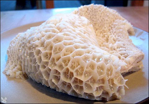 Memories of A 1950 British Christmas | Genealogy Ensemble